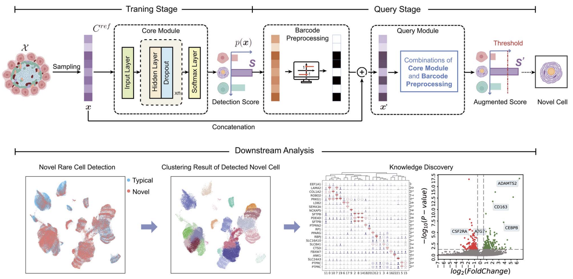 Yixuan Wang (王艺璇)
